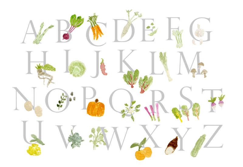 Vegetable Alphabet Print - LouLou Baker