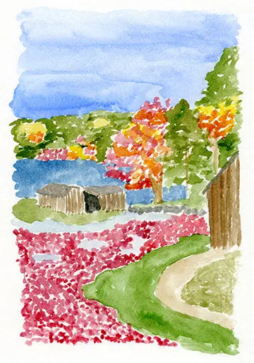 Nantucket Cranberry Bogs Original