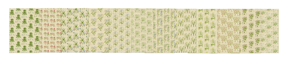 Botanical Gift Wrap Collection