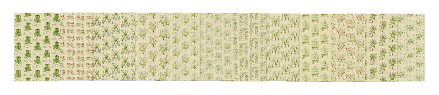 Botanical Gift Wrap Collection